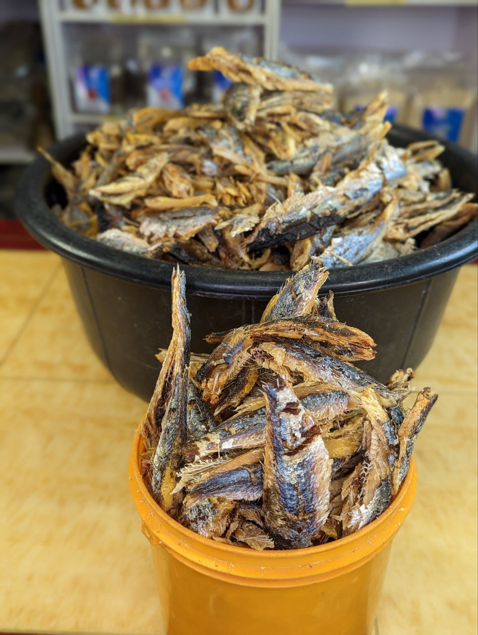 BONGA FISH – Seafoodsdelight